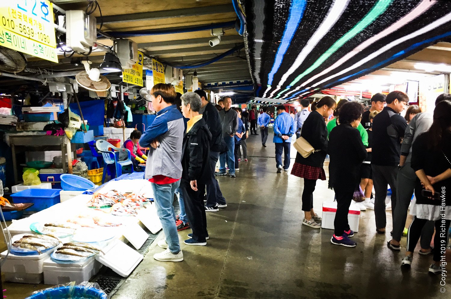 Jumun harbour 주문 Korea - Roamad