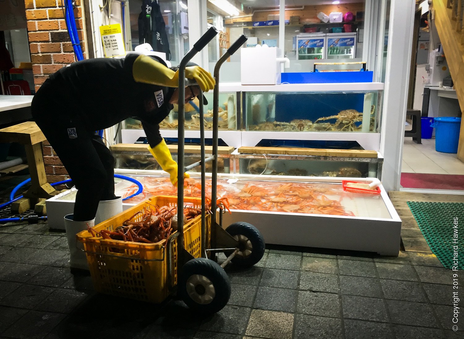 Jumun harbour 주문 Korea - Roamad