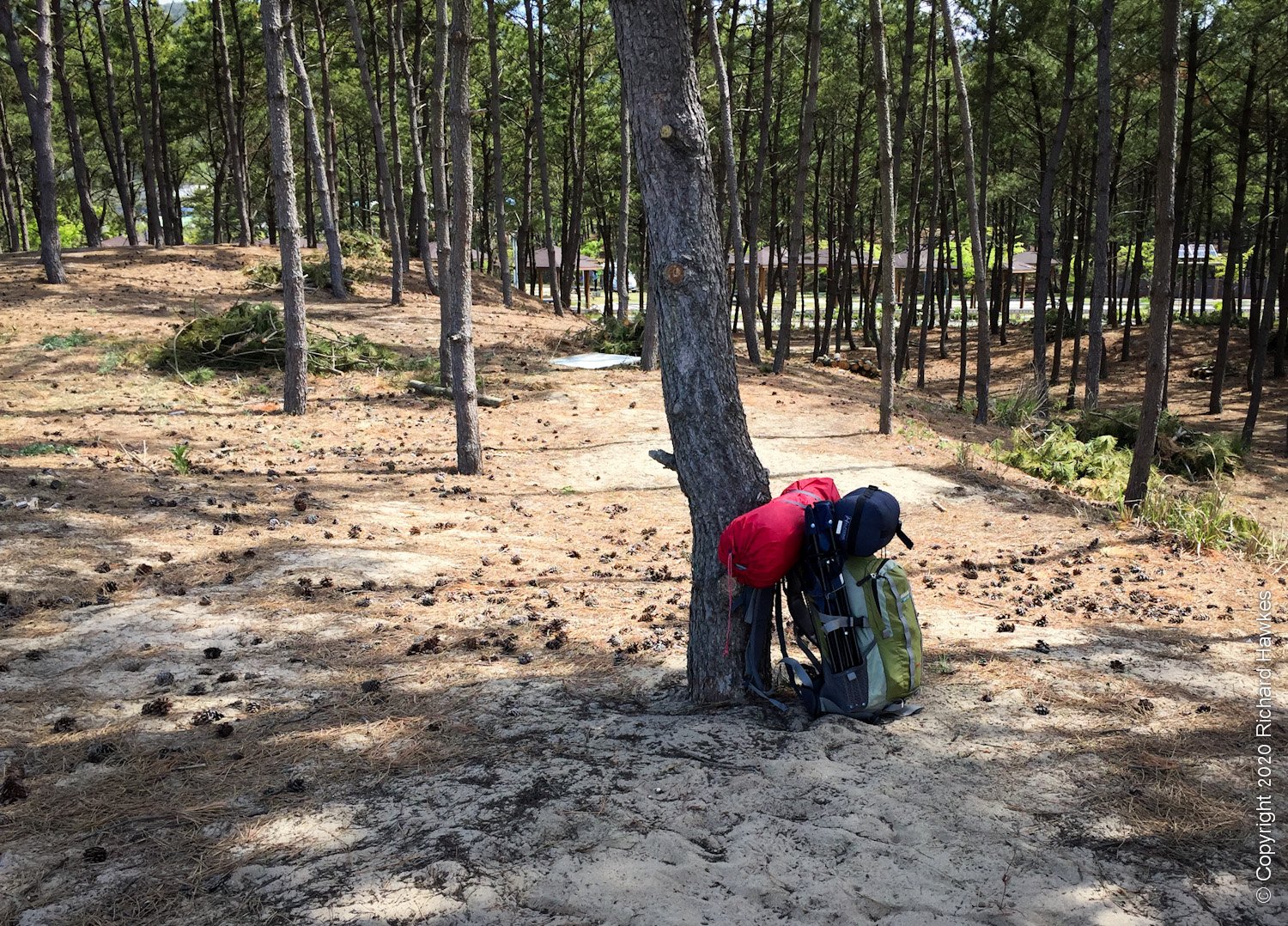 Beautiful peaceful beach for camping on Deokjeokdo Island - Roamad