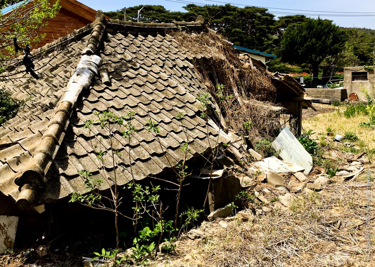 24 hours on Deokjeokdo island Korea 덕적도 - Roamad