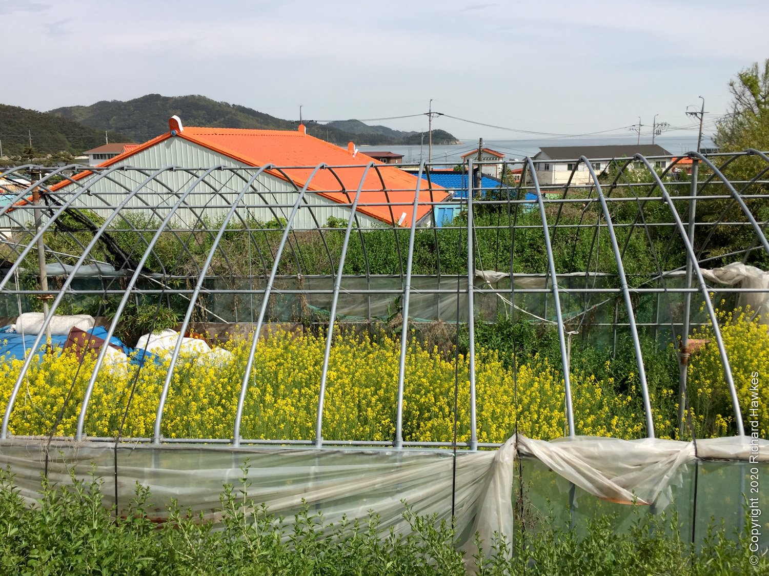 24 hours on Deokjeokdo island Korea 덕적도 - Roamad