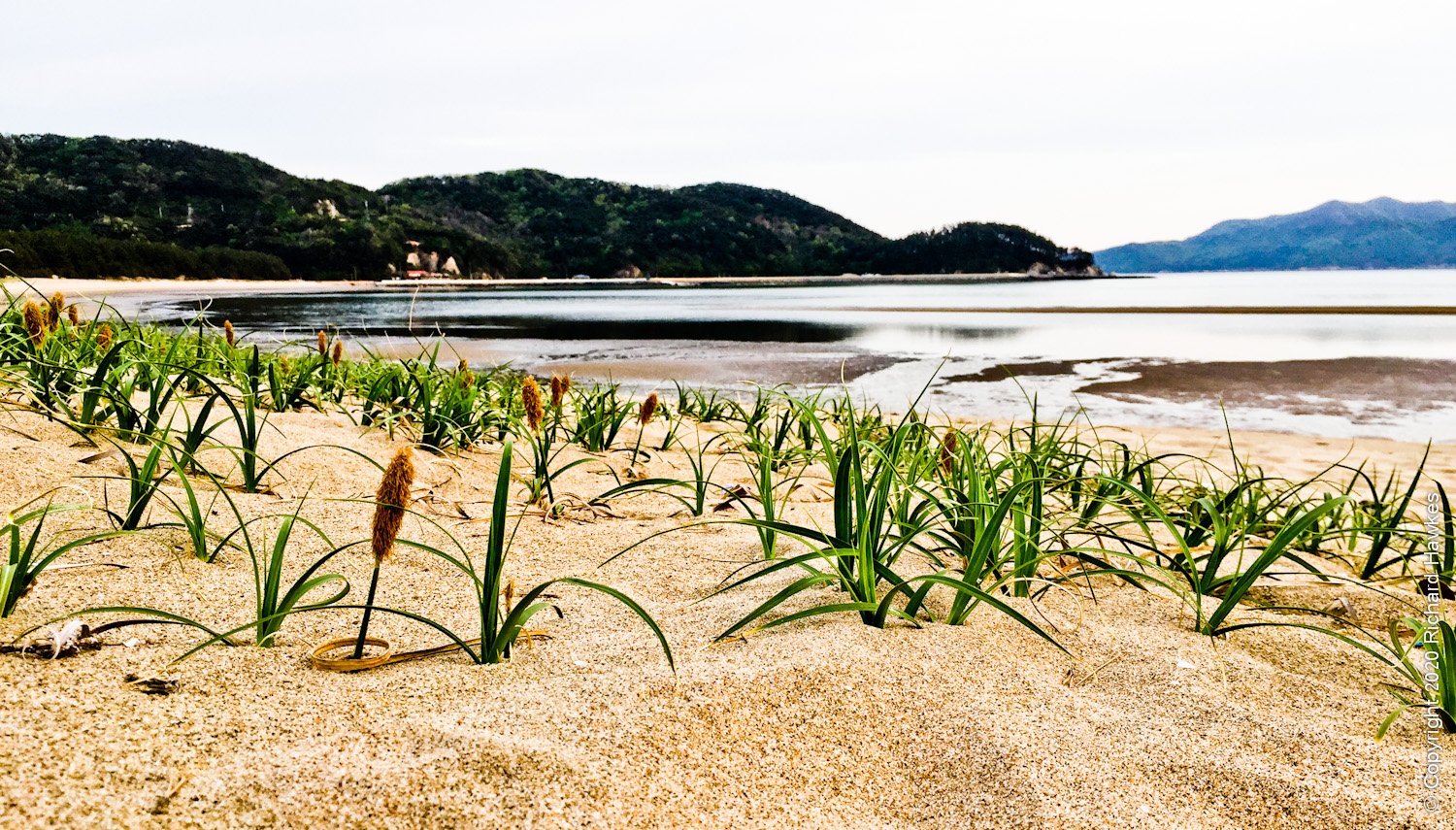 Beautiful peaceful beach for camping on Deokjeokdo Island - Roamad