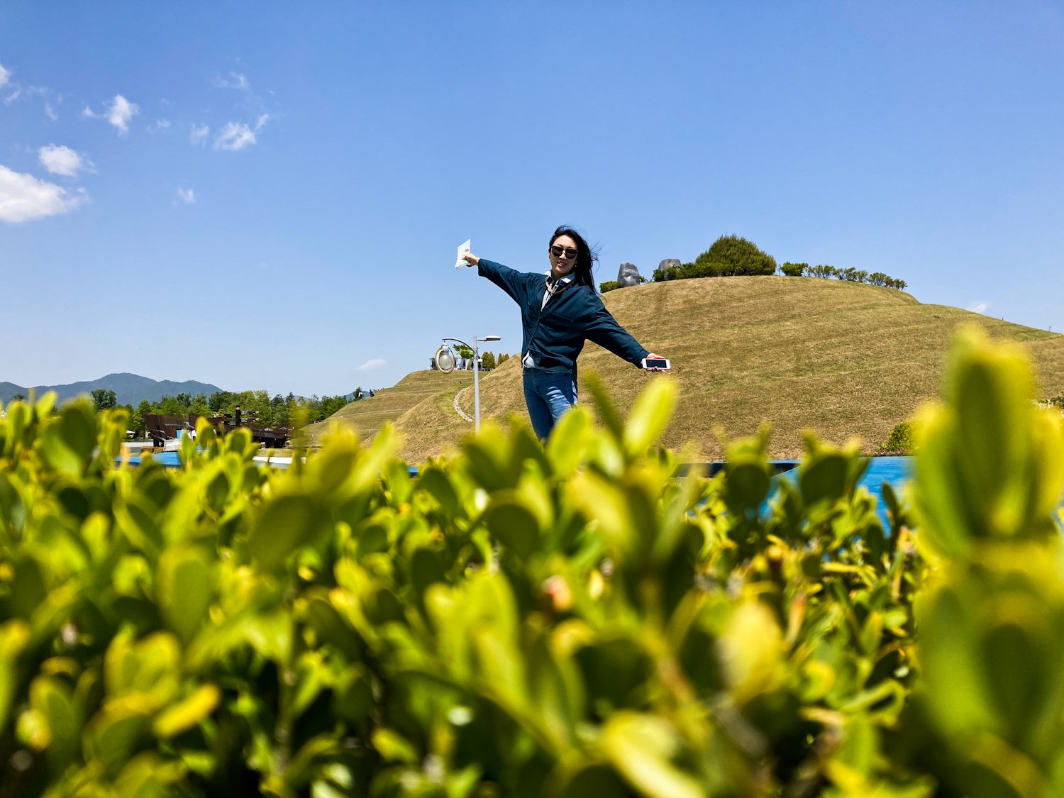 Suncheon Bay National Garden and Wetlands - Roamad